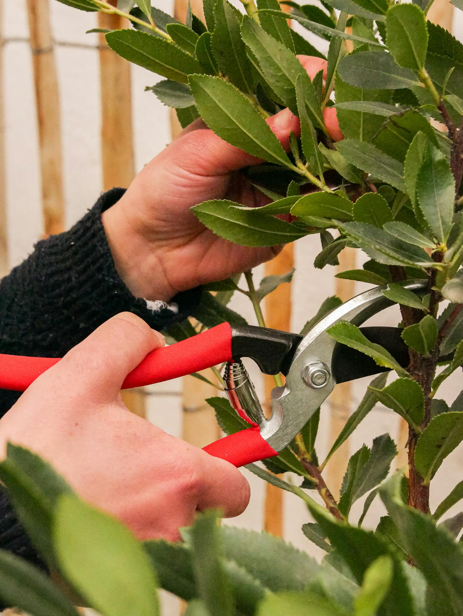 Nos conseils & astuces pour le jardin